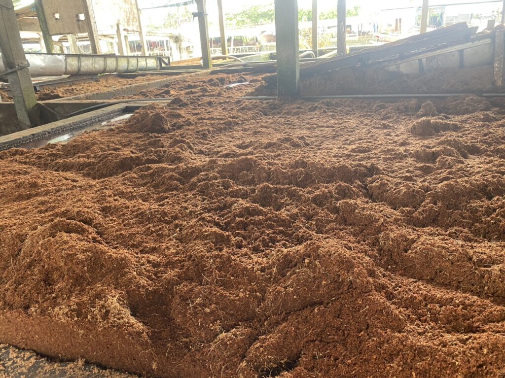 Coco Peat - AGFEEDVN